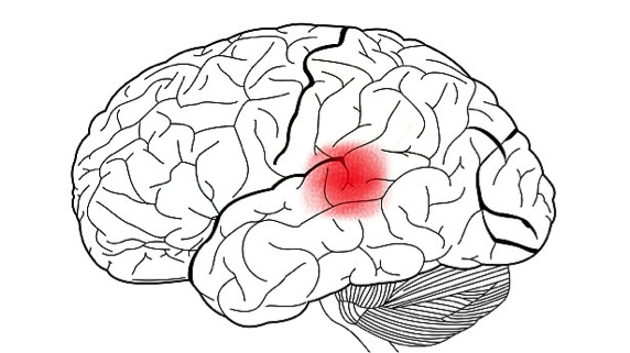 Hoe Onze Hersenen Dagelijks Veranderen - PsyBlogNL