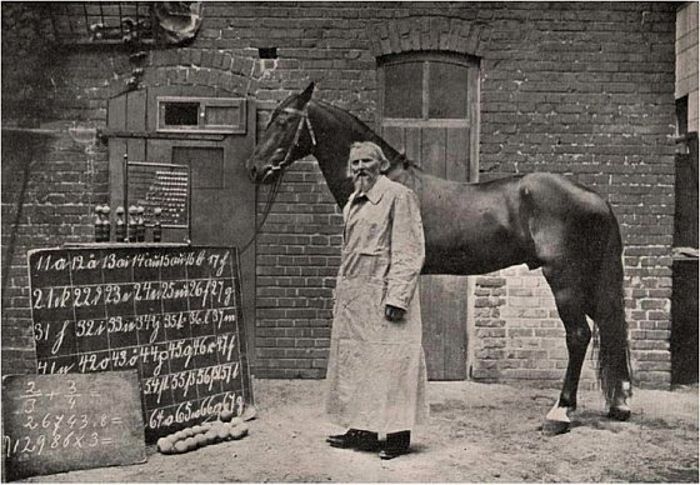 Het geheim van lichaamstaal en het paard dat kon rekenen - PsyBlog.nl